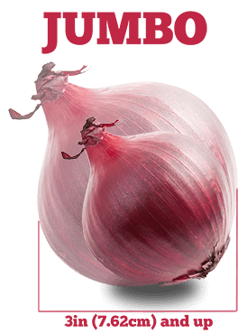 Onions - ProSource Produce