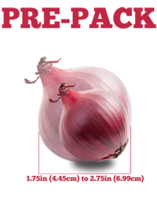 Onions - ProSource Produce