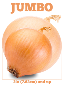 Onions - ProSource Produce