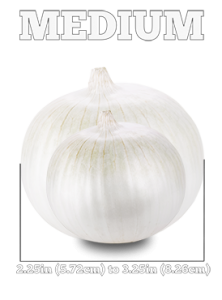 Onions - ProSource Produce