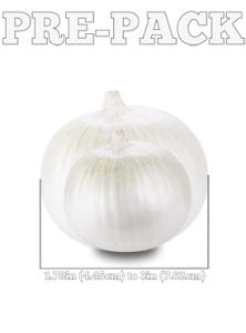 Onions - ProSource Produce