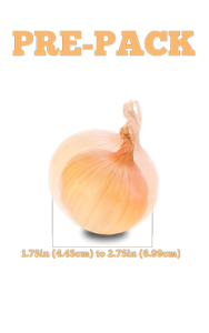 Onions - ProSource Produce