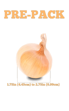 Onions - ProSource Produce