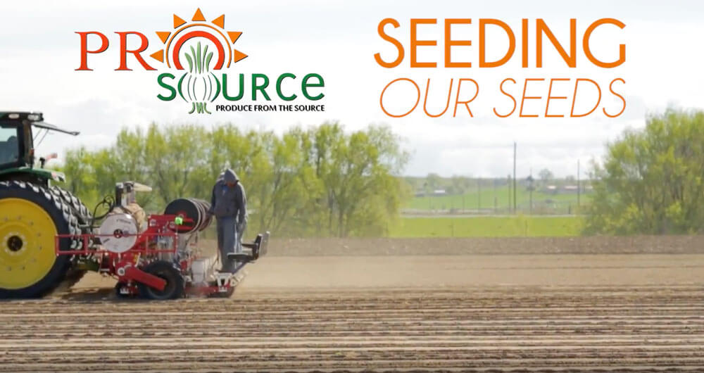 Seeding: Our Seeds - ProSource Produce