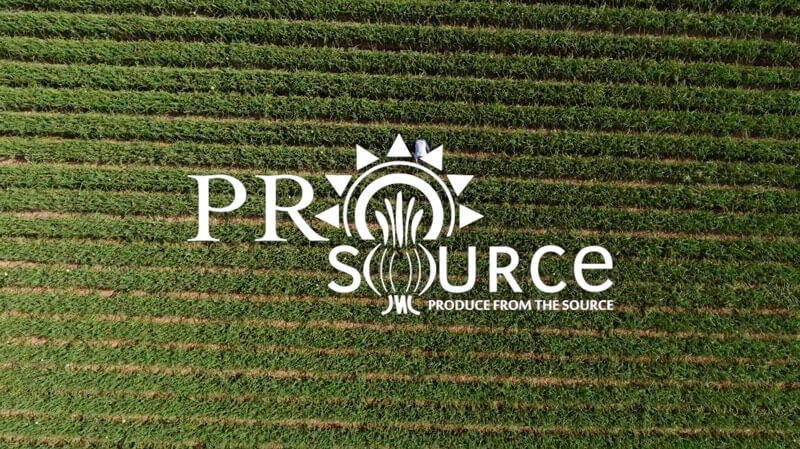 Prosource: Who are we? - ProSource Produce