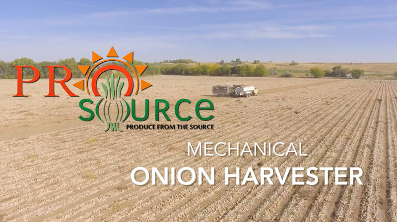 Mechanical Onion Harvester - ProSource Produce