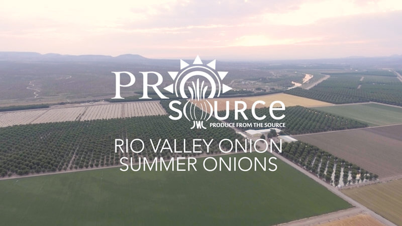 Types on Onions - ProSource Produce